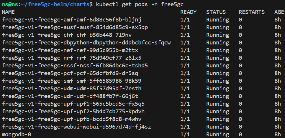 Optimizing free5GC Through Local UE Traffic and Dedicated UPF: A Multi-Node Helm Deployment ...